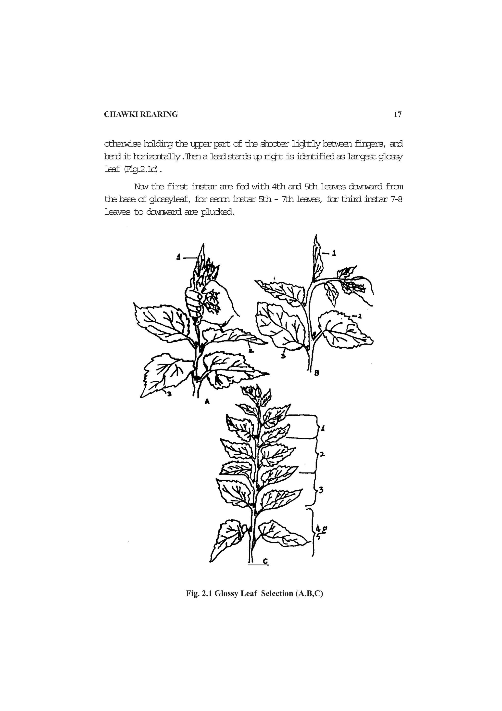 Silkworm rearing technology | PDF
