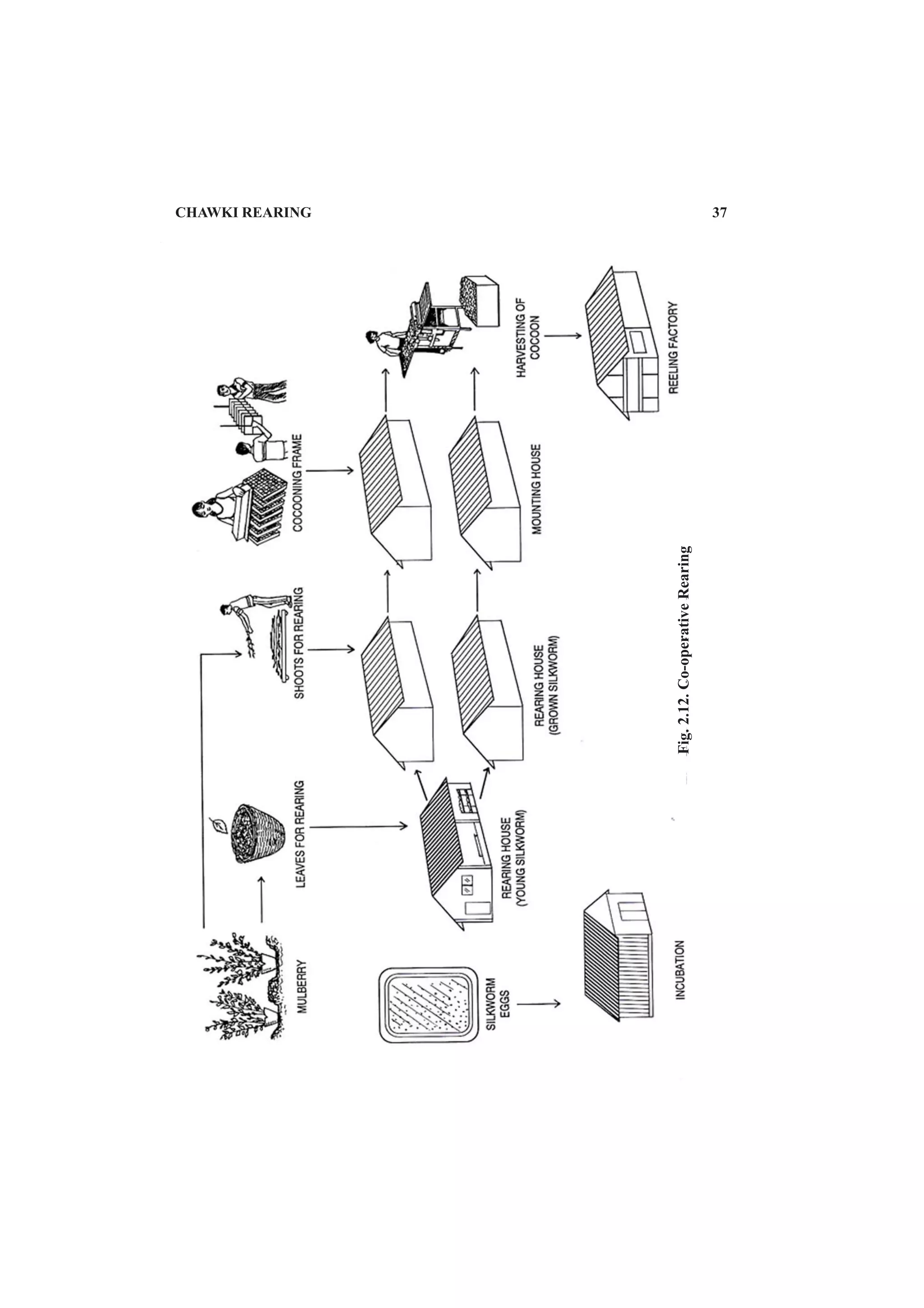 Silkworm rearing technology | PDF