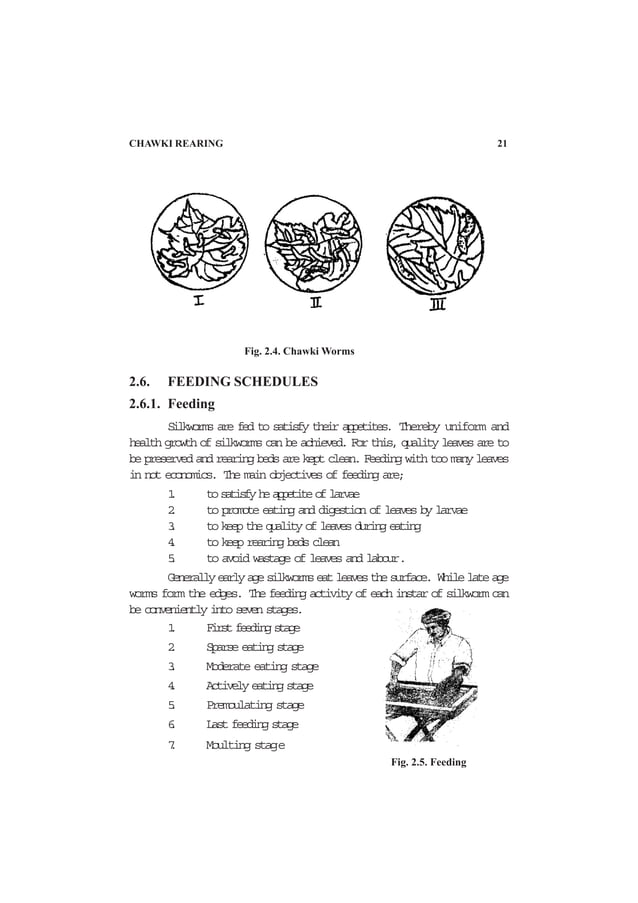 Silkworm rearing technology | PDF | Beekeeping | Hobbies & Interests