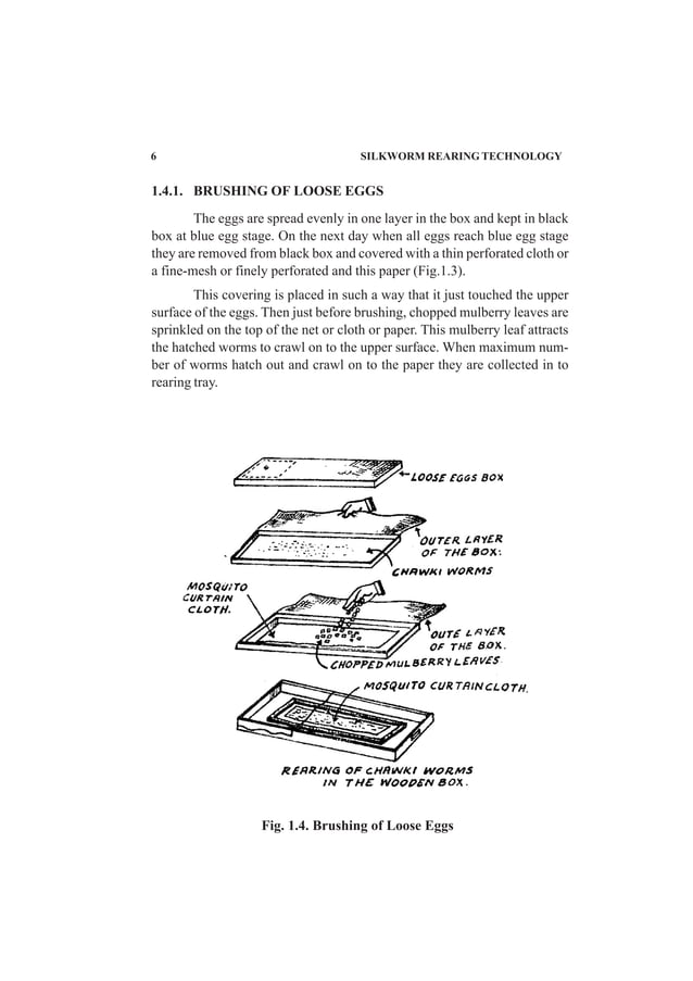 Silkworm rearing technology | PDF | Beekeeping | Hobbies & Interests
