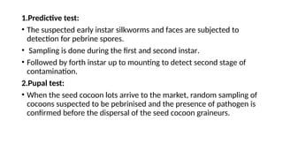 Silkworm Seed Production Technology-1.pptx