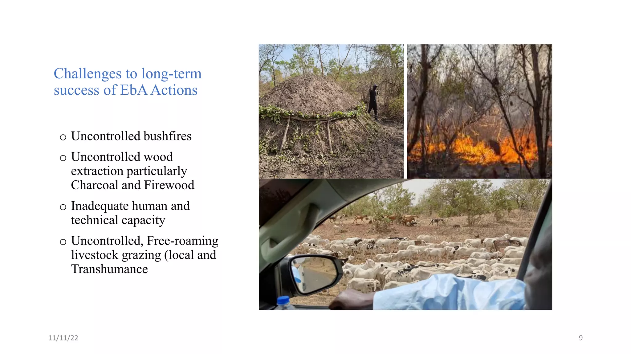 Community Forestry and EbA Experience in The Gambia | PDF