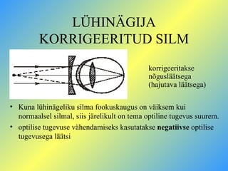 Silm | PPT