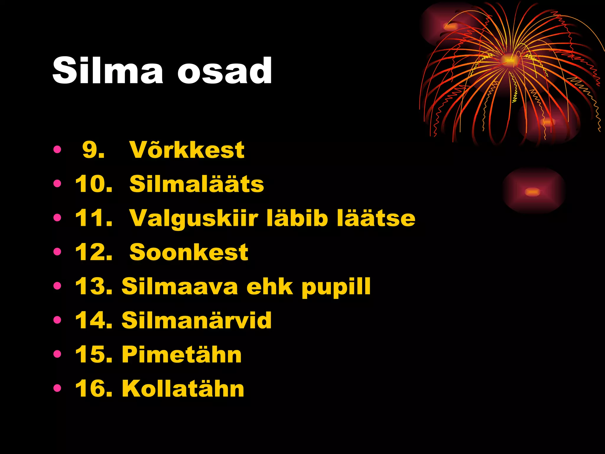 Silma Ehitus | PPT
