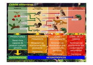 Fonte primaria de energia - Biologia 1ano ensino medio | PDF