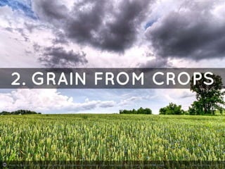 Silotex handbag silos | PPTX