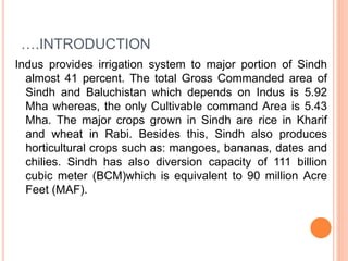 Silt in Canals | PPTX