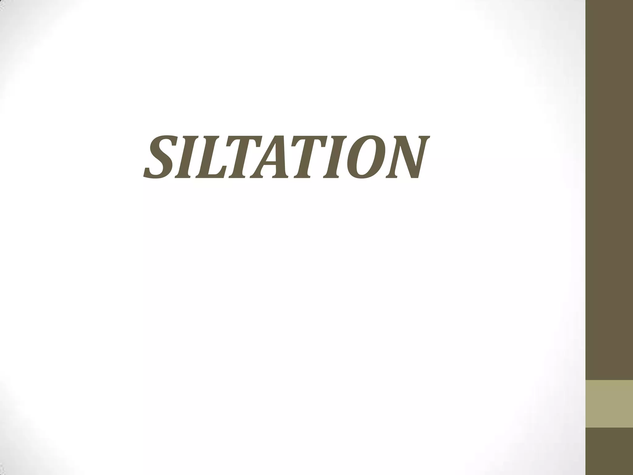 Siltation | PPTX