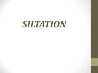 Siltation | PPTX