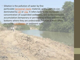 Siltation | PPTX