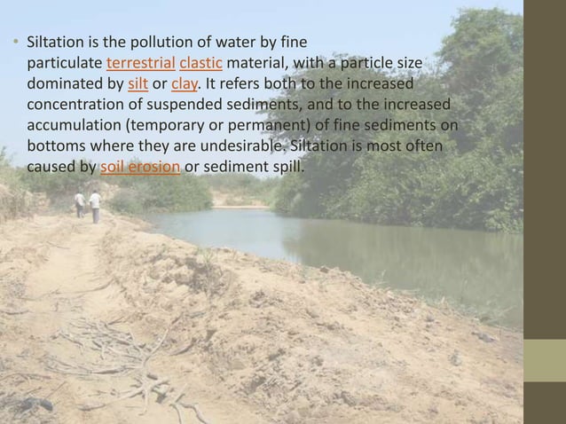 Siltation | PPTX