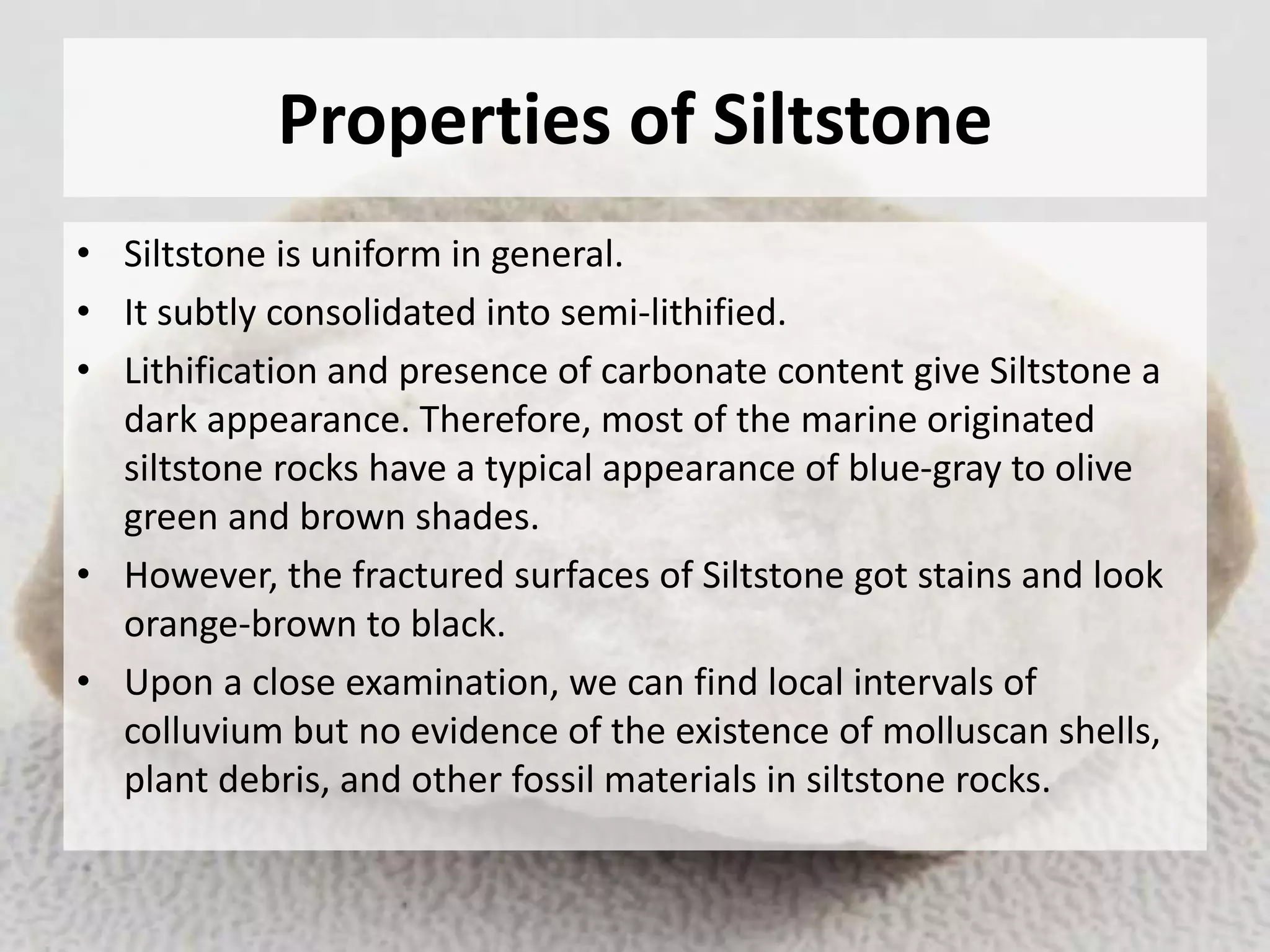 Siltstone - a complete guide | PPT