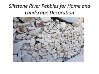 Siltstone - a complete guide | PPTX