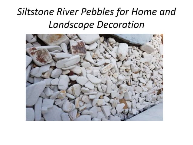 Siltstone - a complete guide | PPT