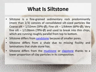 Siltstone - a complete guide | PPT