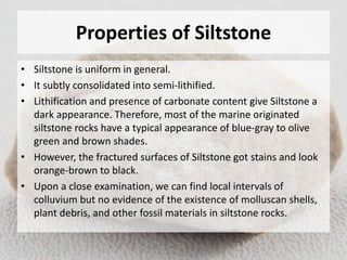 Siltstone - a complete guide | PPT