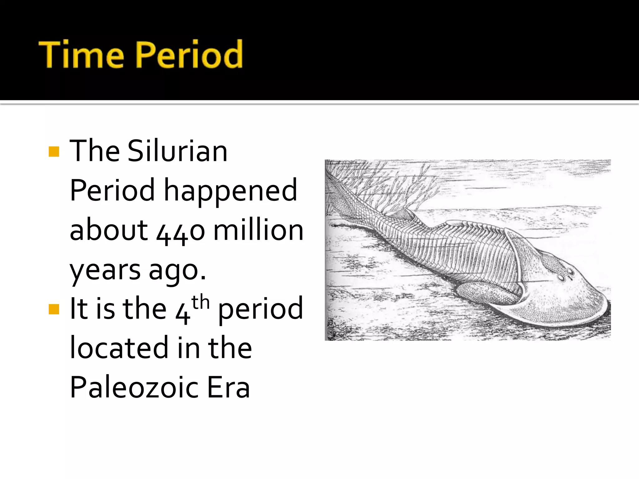 Silurian Time Period | PPTX
