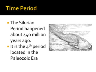 Silurian Time Period | PPTX