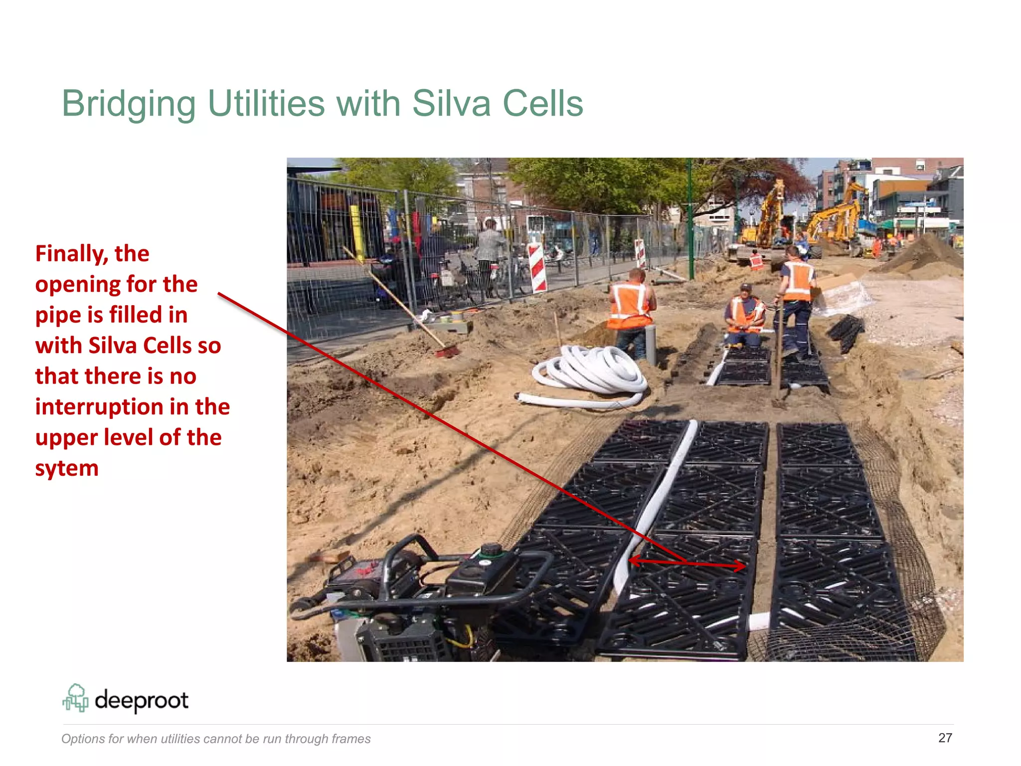 Integrating Silva Cells and Utilities | PPT