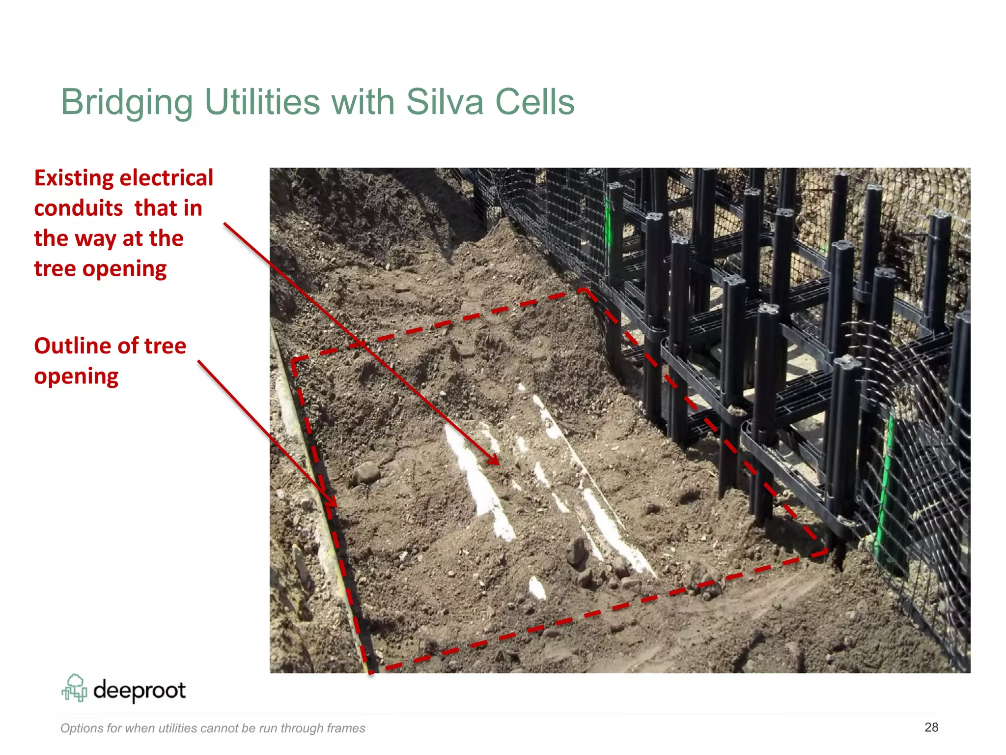 Integrating Silva Cells and Utilities | PPT