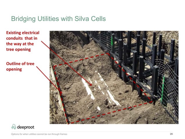 Integrating Silva Cells and Utilities | PPT