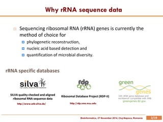 Silva ribosomal RNA database | PDF