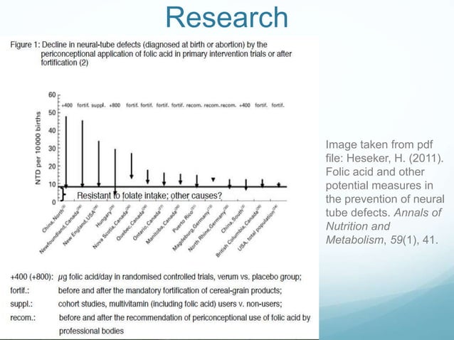 Silverman powerpoint assignment | PPT