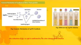 silver nano.pptx