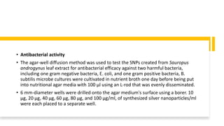 Silver Nanoparticles synthesis from leaf extract.pptx