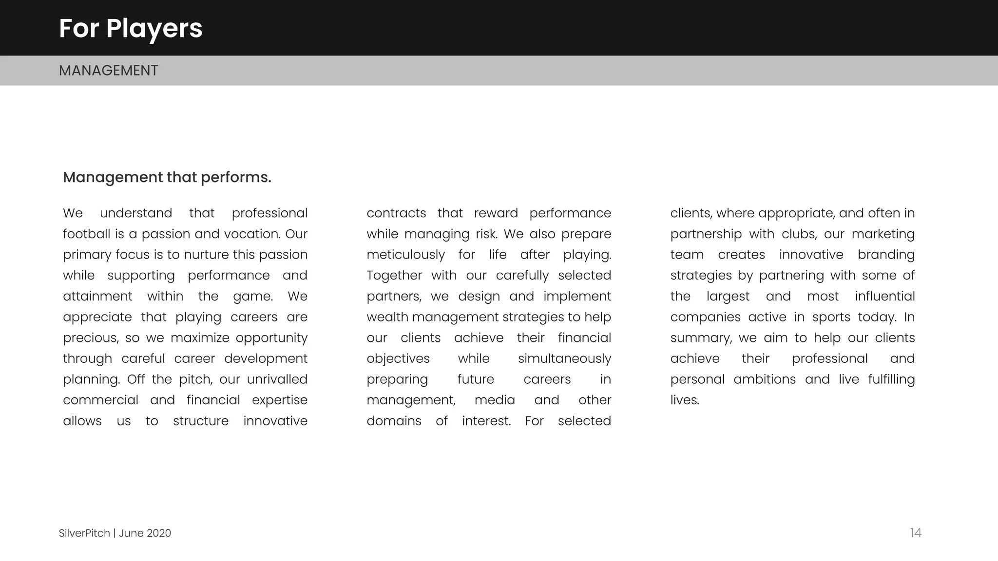 SilverPitch Executive Summary | PDF
