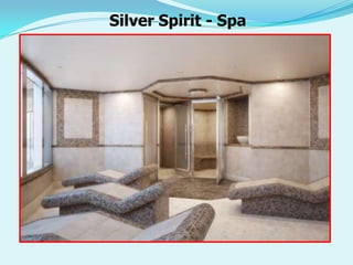 Silver spirit | PPTX