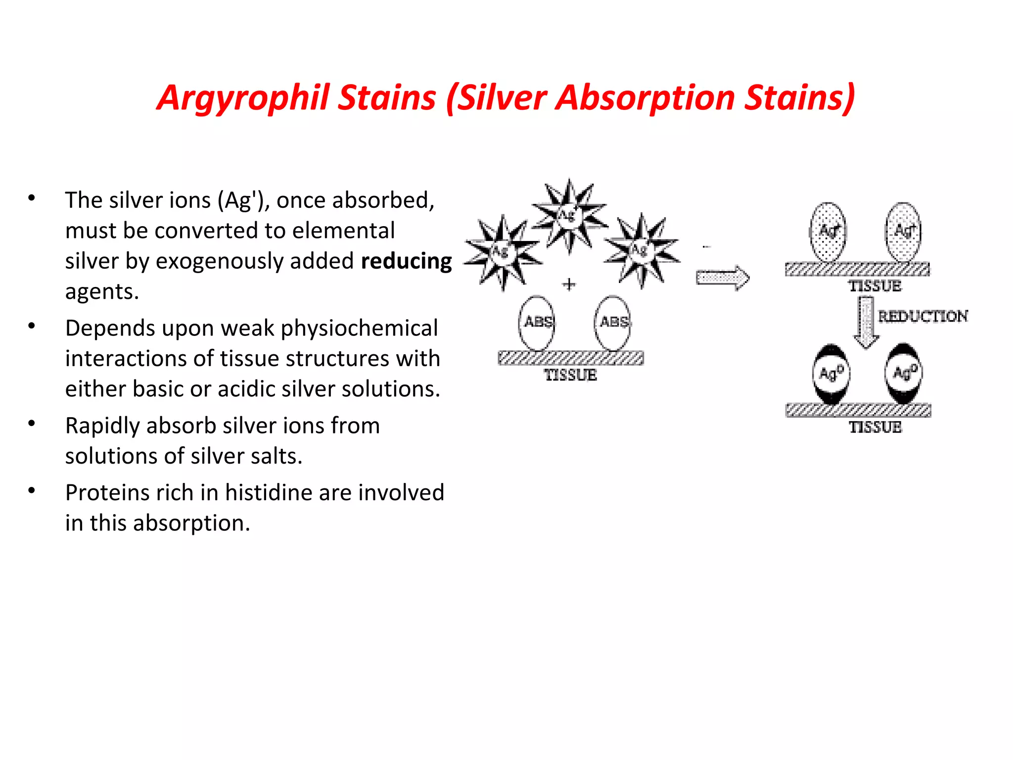 Silver Staining | PPT
