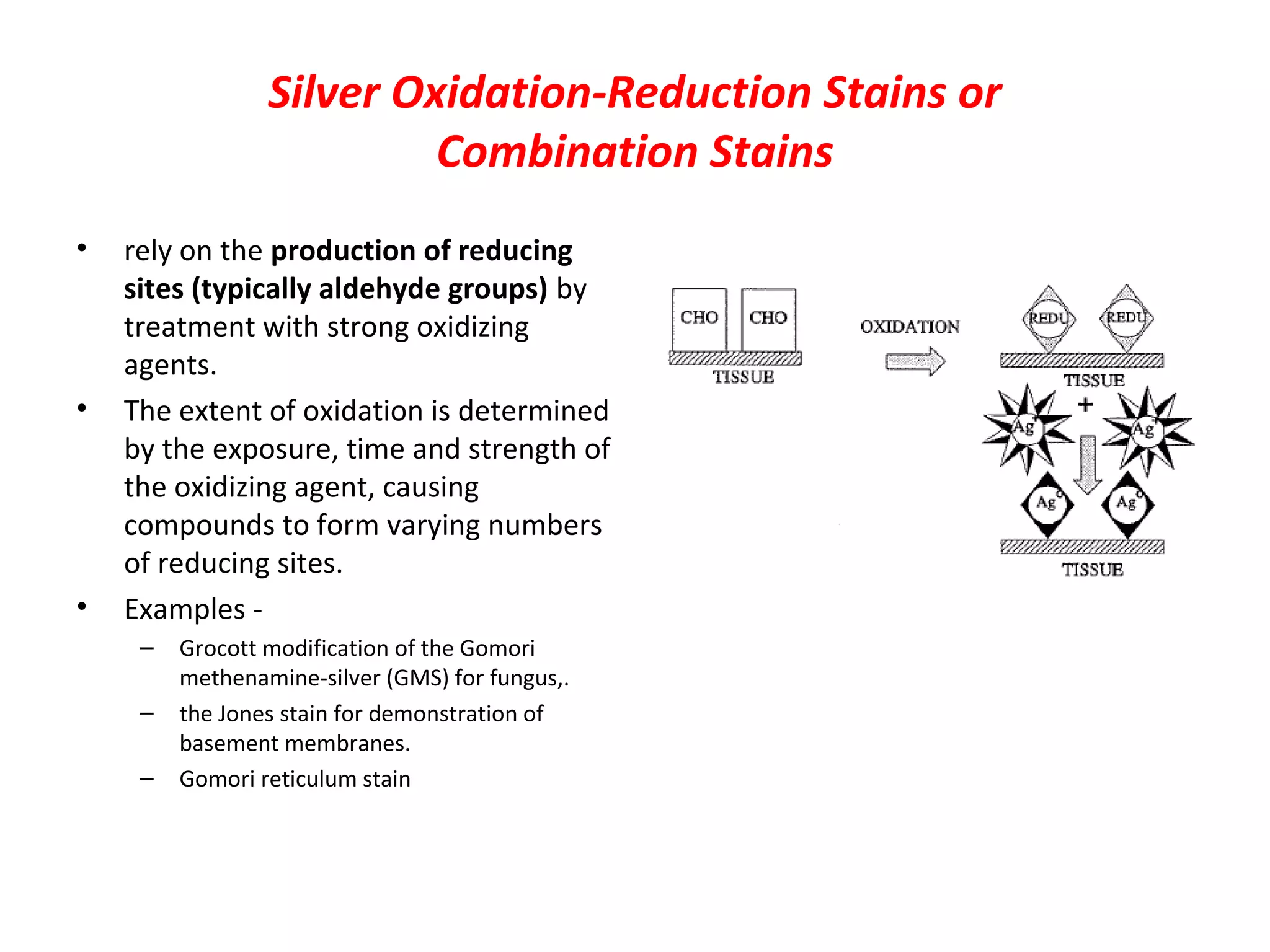 Silver Staining | PPT
