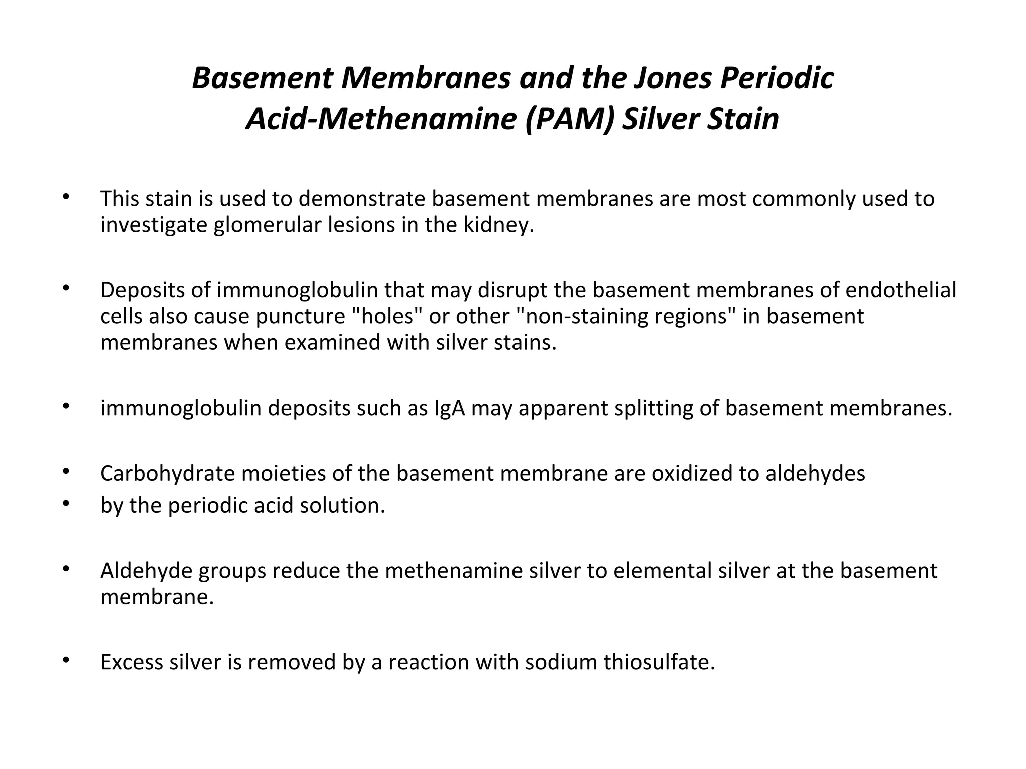 Silver Staining | PPT