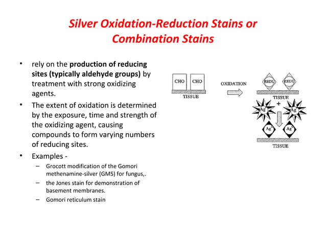 Silver Staining | PPT | Chemistry | Science