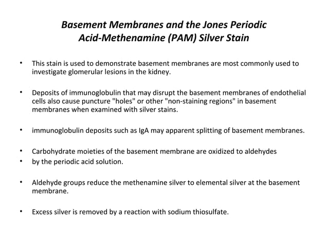 Silver Staining | PPT | Chemistry | Science