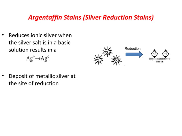 Silver Staining | PPT | Chemistry | Science