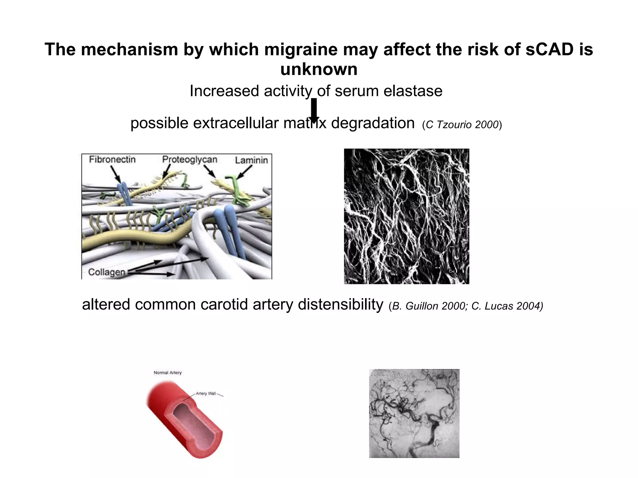 Silvestrini Mauro. Cefalea e dissecazione arteriosa. ASMaD 2011 | PPT