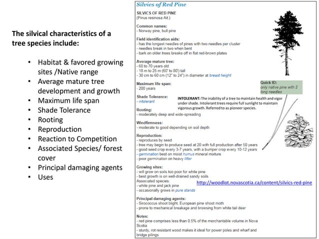 Silvics of mediterranean species | PDF | Landscaping | Home & Garden