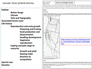 Silvics of mediterranean species | PDF