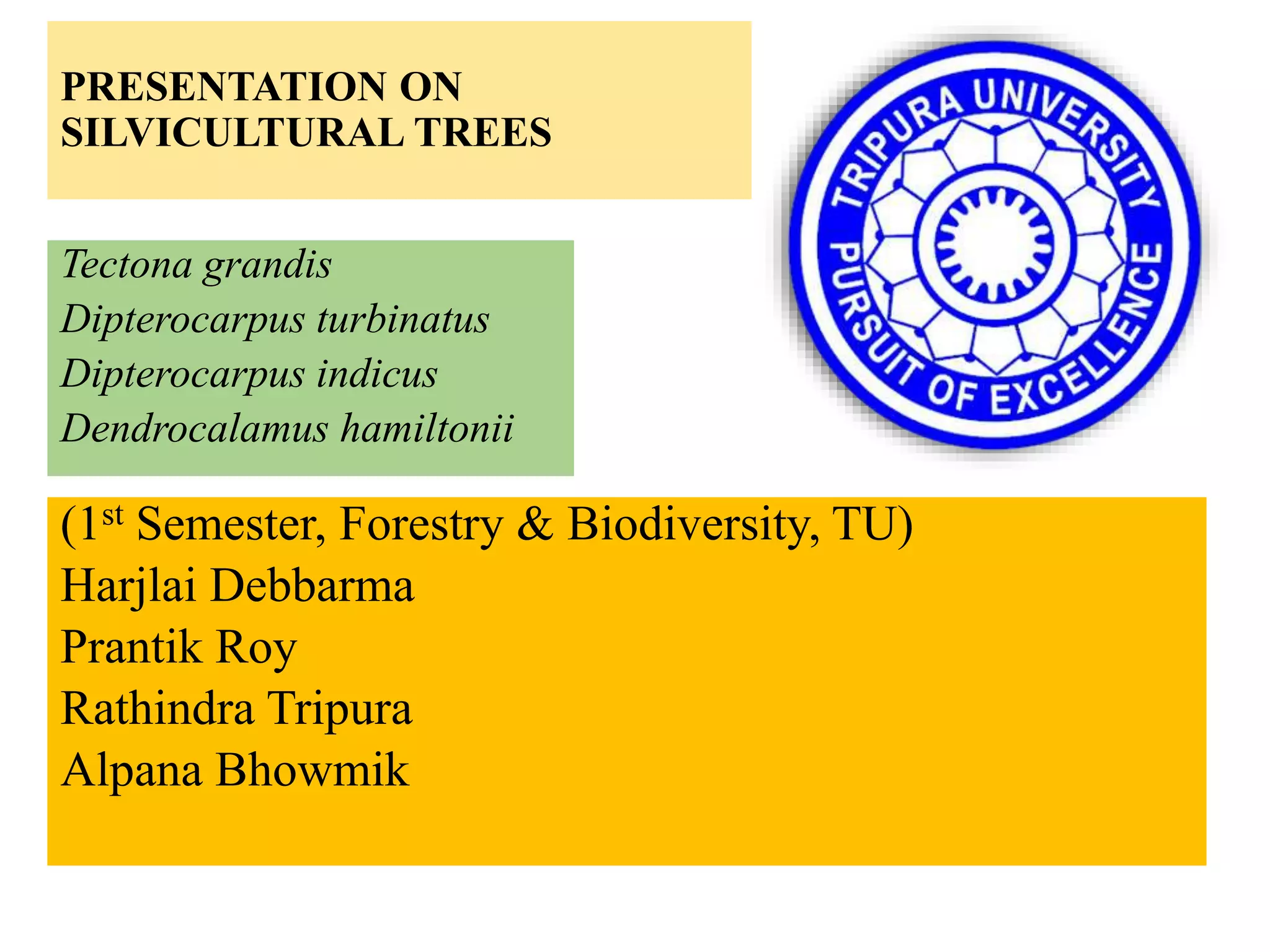 Important Silvics of Teak, Garjan, D. Indicus, D. Hamiltoni.pptx