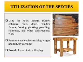 Important Silvics of Teak, Garjan, D. Indicus, D. Hamiltoni.pptx