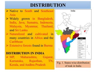 Important Silvics of Teak, Garjan, D. Indicus, D. Hamiltoni.pptx