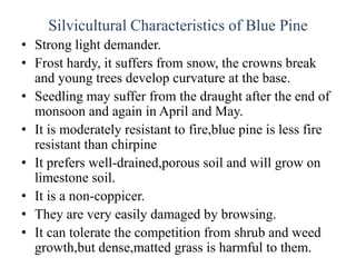 Silvicultural characteristics of three tree species on temperate region ...