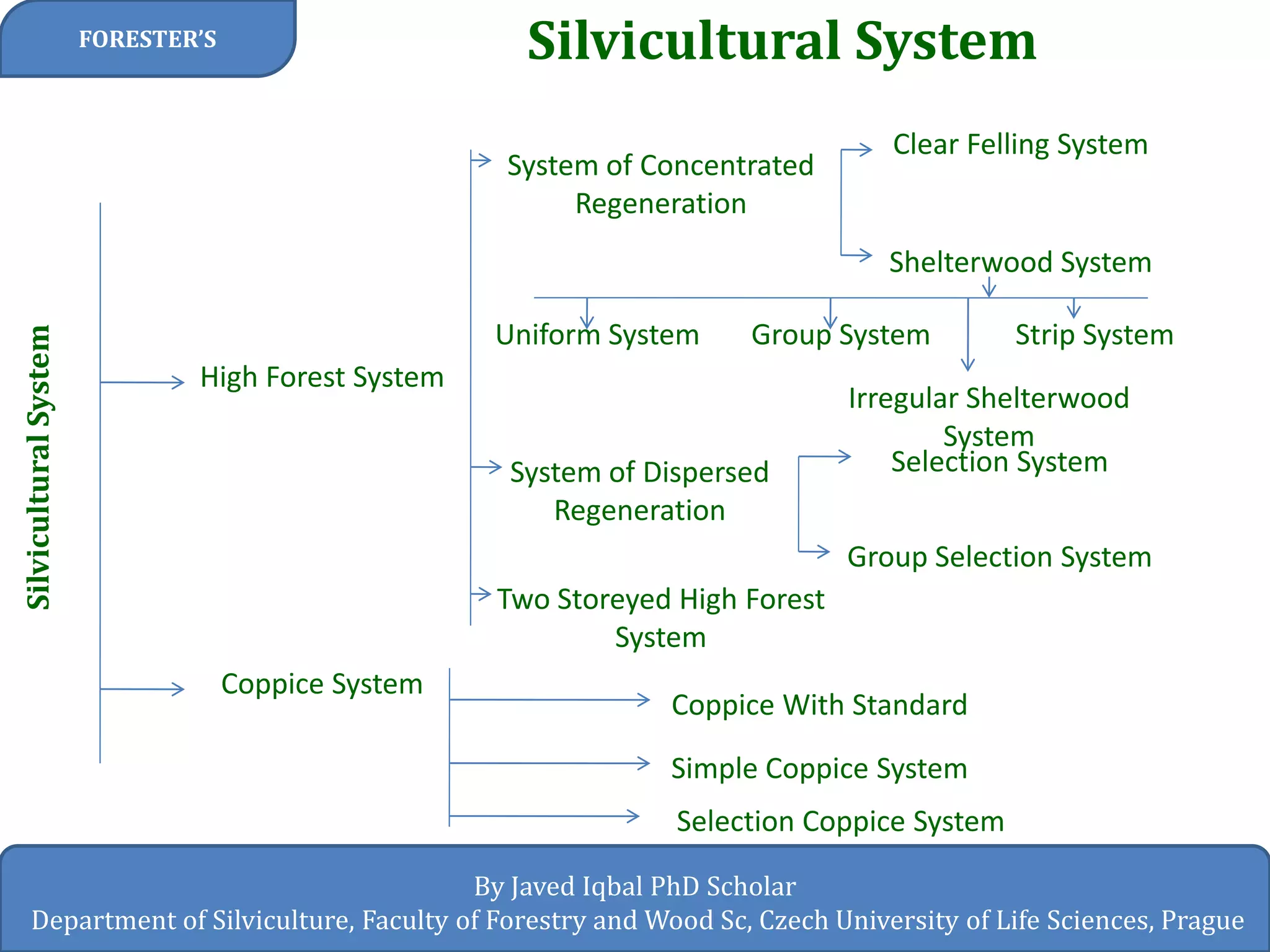 Silvicultural system | PDF