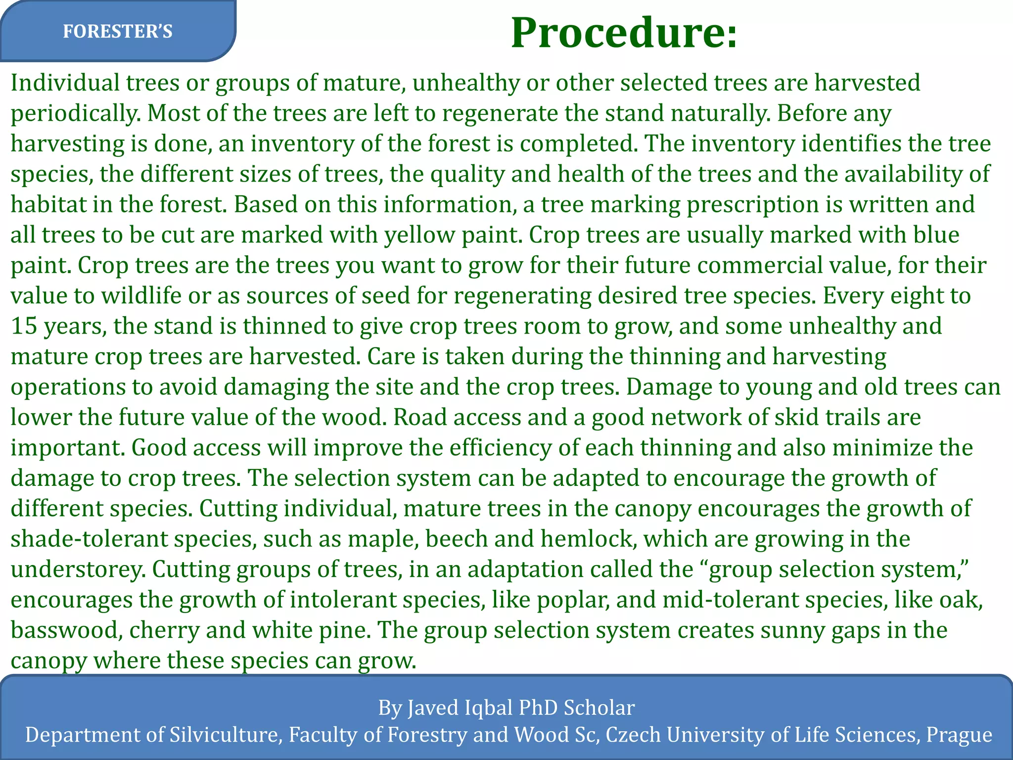 Silvicultural system | PDF