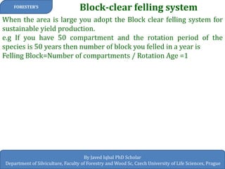 Silvicultural system | PDF