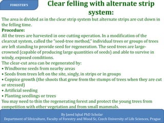 Silvicultural system | PDF