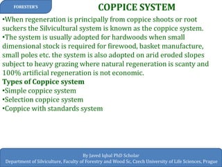 Silvicultural system | PDF