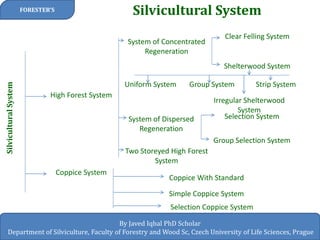 Silvicultural system | PDF